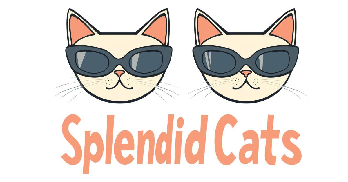 splendidcats.com – SplendidCats